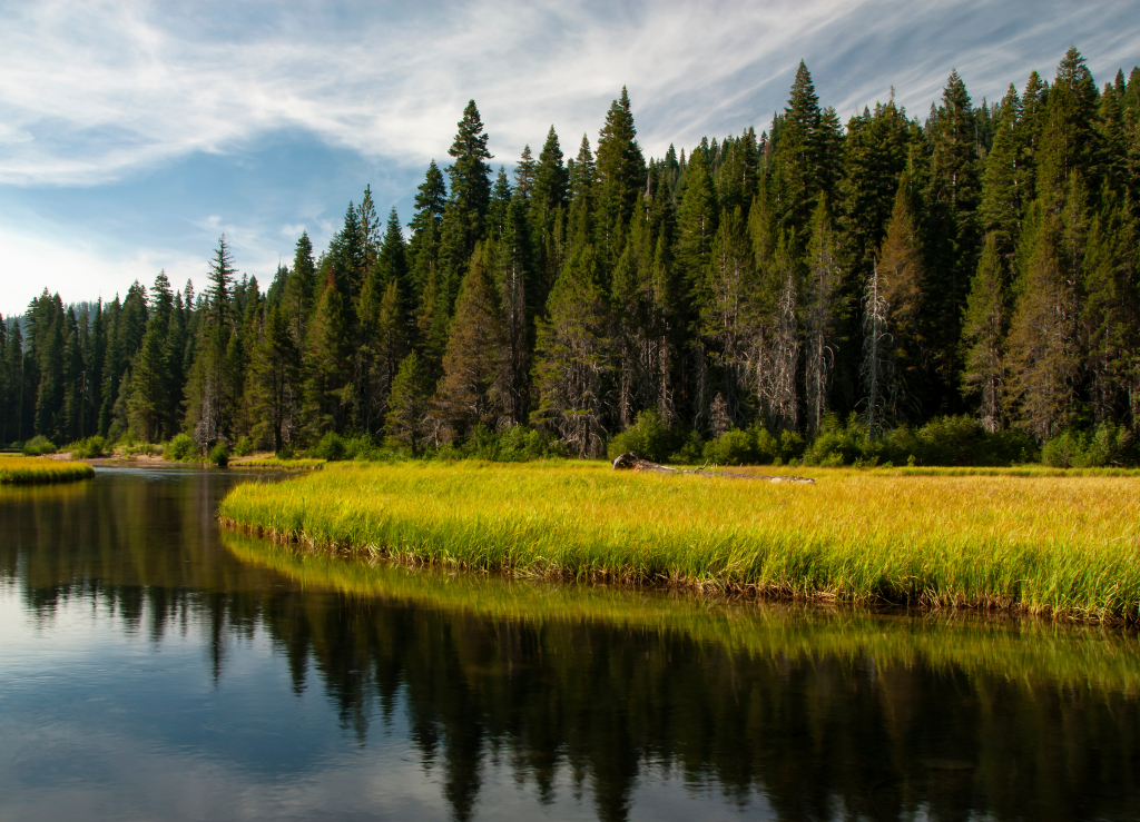 Frequently Asked Questions - We Prosper Together